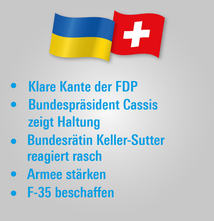 FDP.Die Liberalen - Willkommen